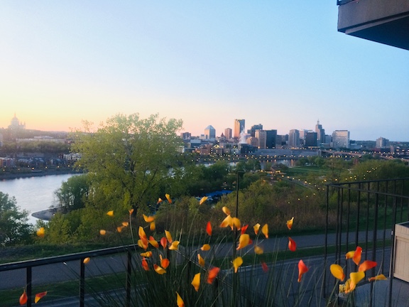 river ridge view summer – Irish Network Minnesota